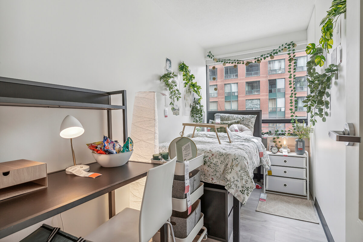 Top Student Room Rentals in Toronto • Dainty Apartment
